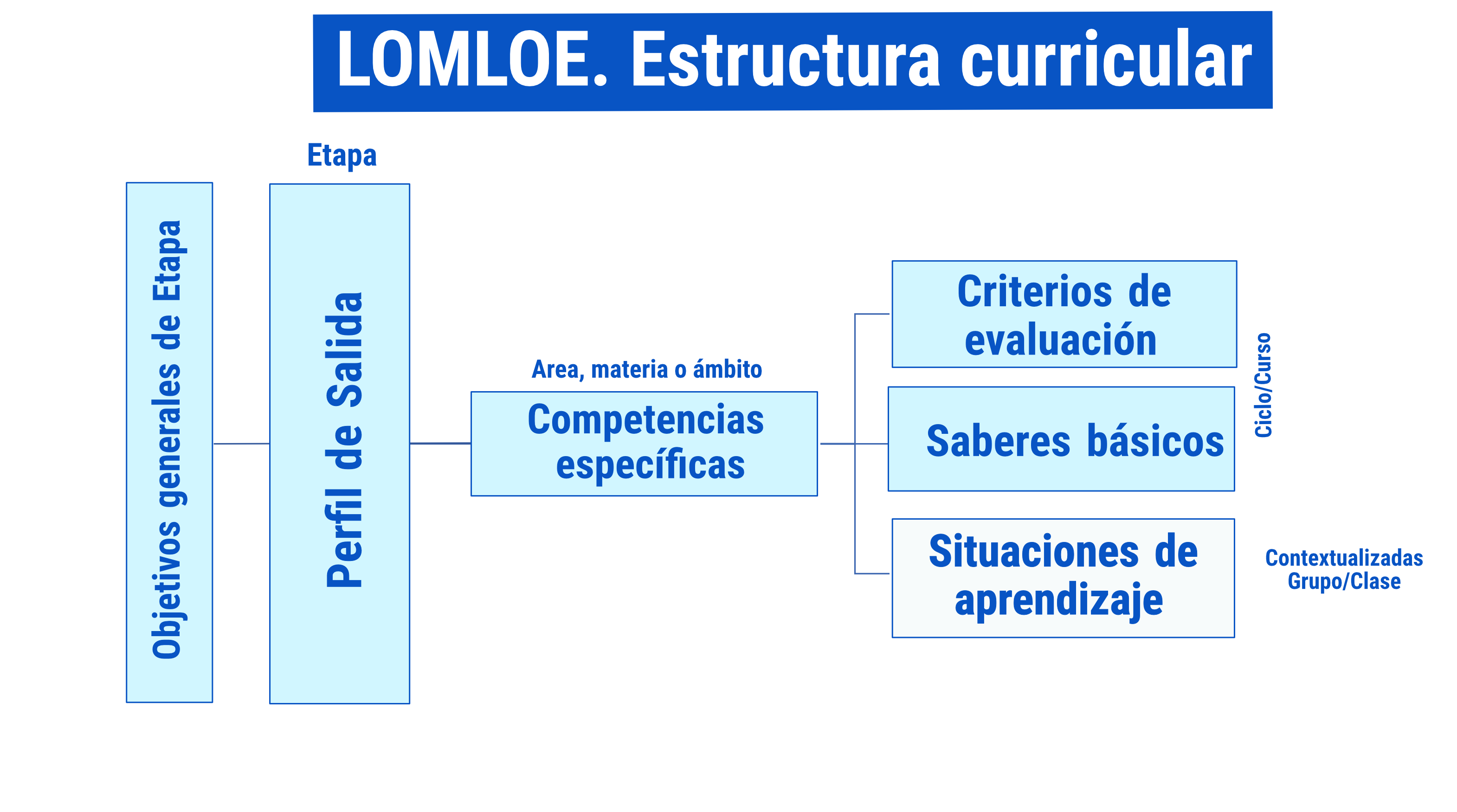 Diferencias clave entre competencias y habilidades - CCFProsario.com