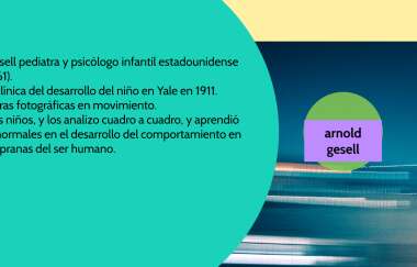 Las etapas clave de desarrollo según Arnold Gesell: Todo lo que debes saber - CCFProsario.com