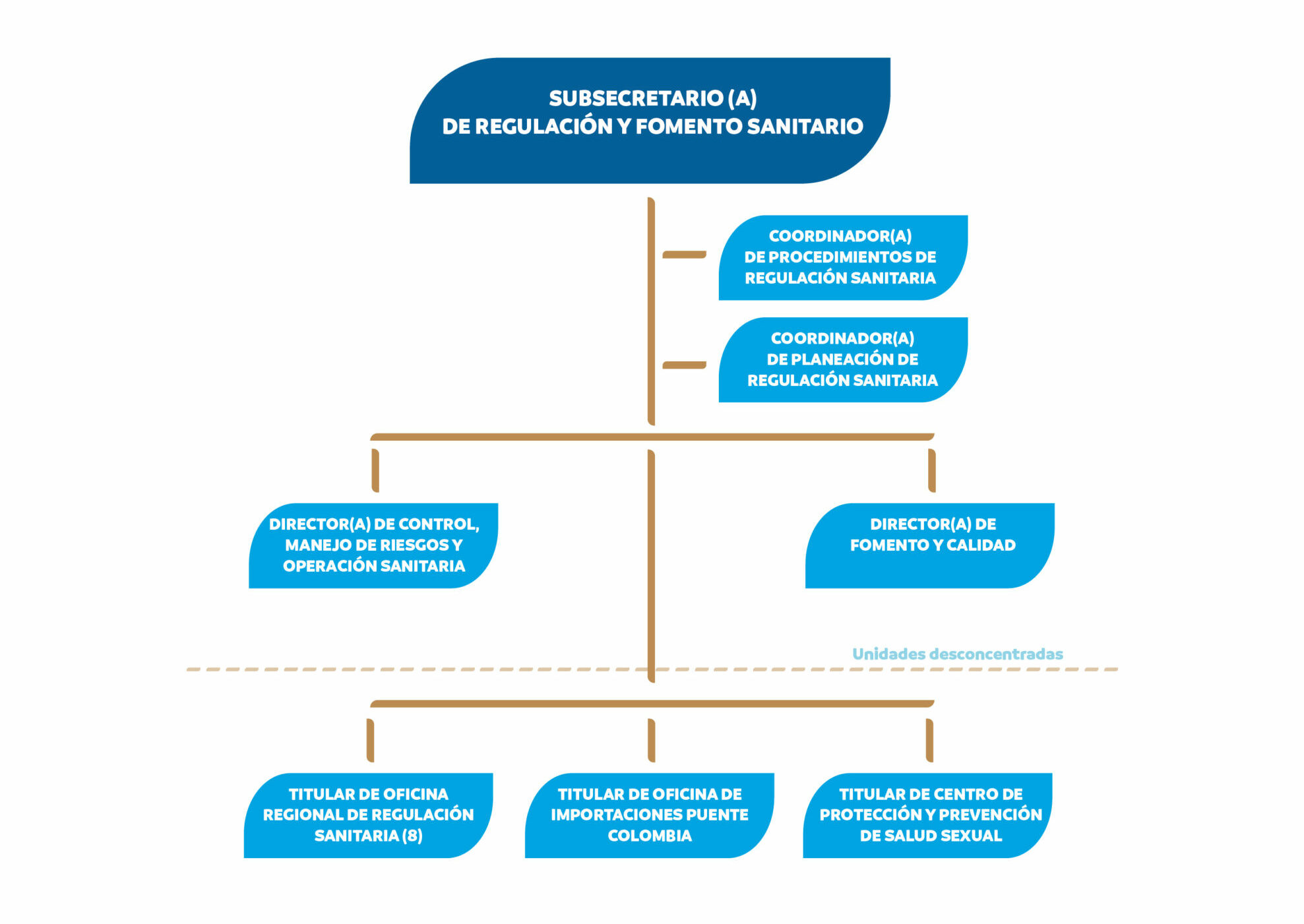 Organigrama Hospitalario: Estructura y Funciones - CCFProsario.com