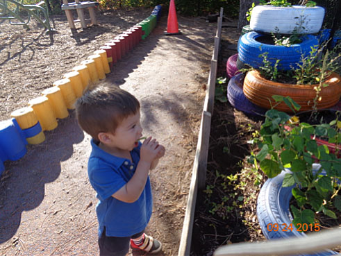 Proyecto simple: ¿qué es y cómo hacerlo? - CCFProsario.com